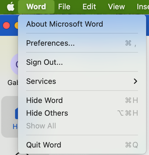 MS smart(?) options – Word Macro Tools